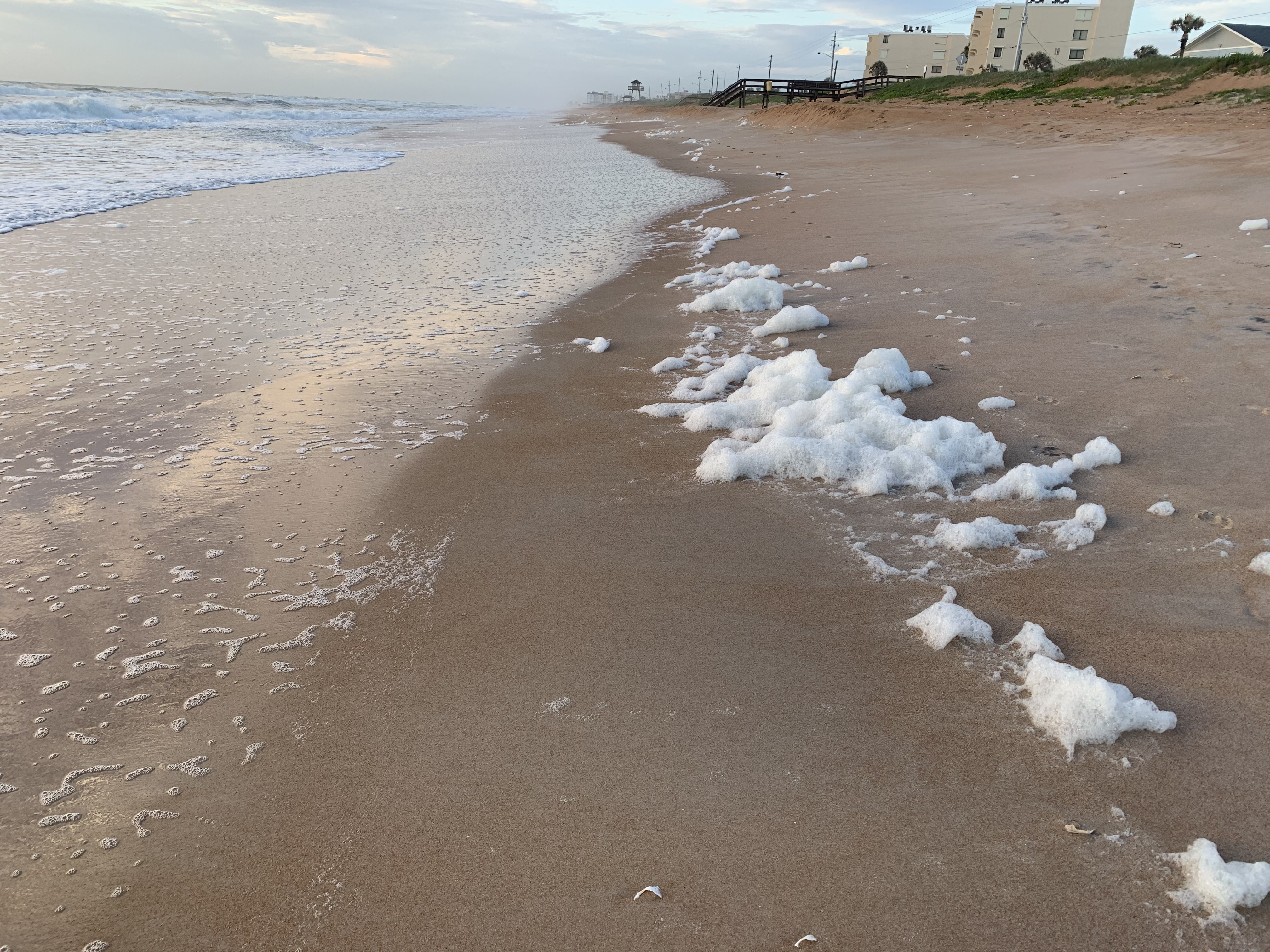 All You Ever Wanted to Know About Sea Foam, But Were Afraid to Ask ...